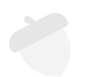 Home – Code Squirrel